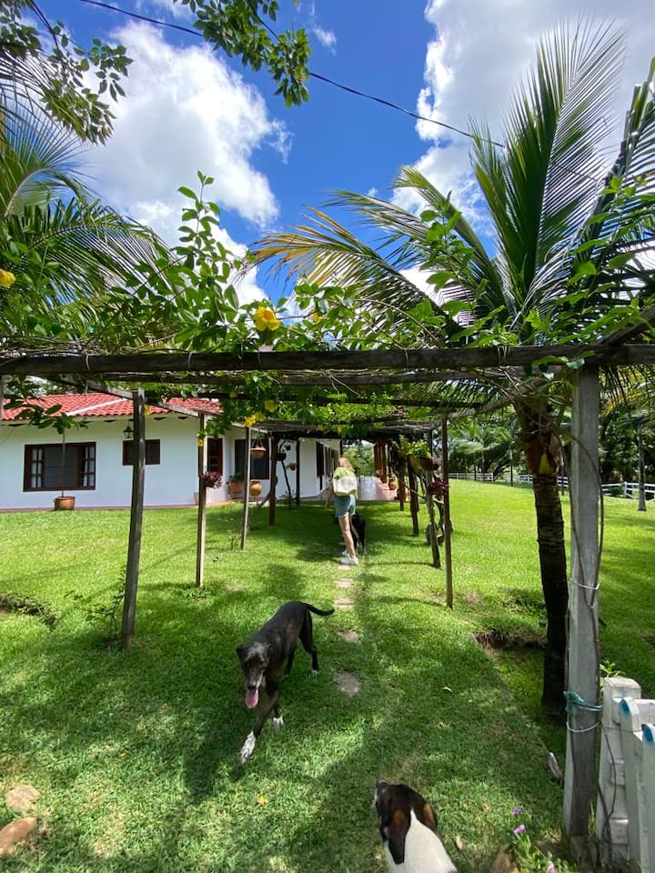 Casa Quinta Aristogato - Bolivia