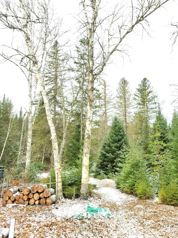 Chalet Bord De L'eau | Foyer, Nature Et Détente - Quebec