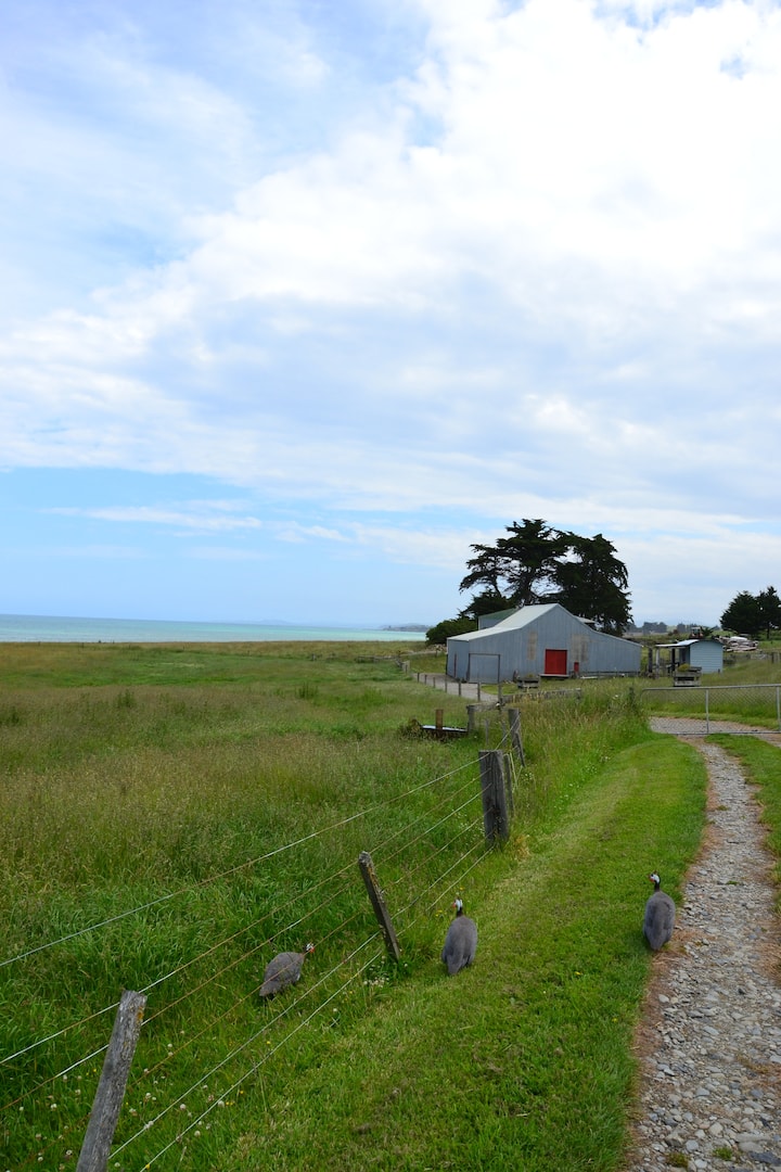 Thistle Hut - Oamaru