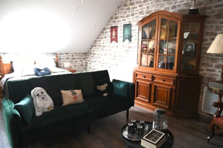 La Chambre Du Petit Sorcier - Avesnes-sur-Helpe