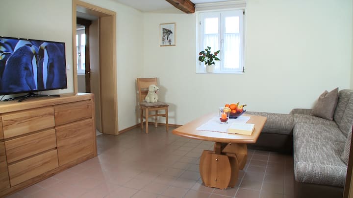 Alte Hütte Vacation Apartment - Hauenstein
