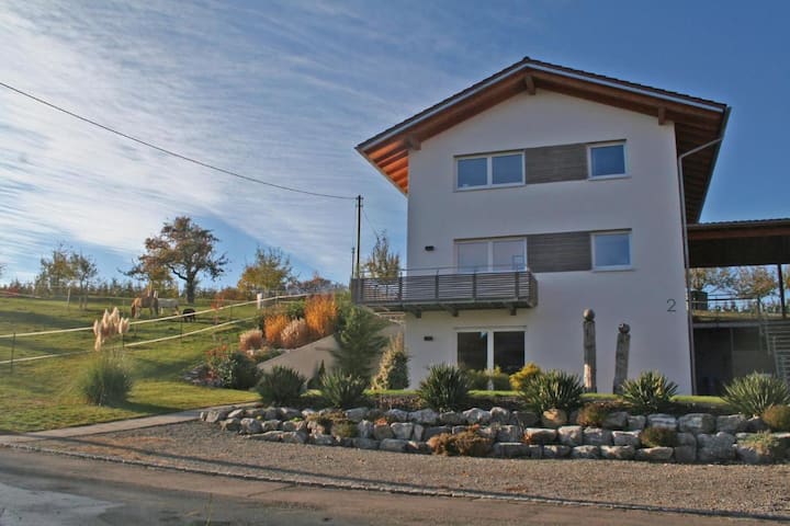 Schmid's Ponyhöfle - Friedrichshafen