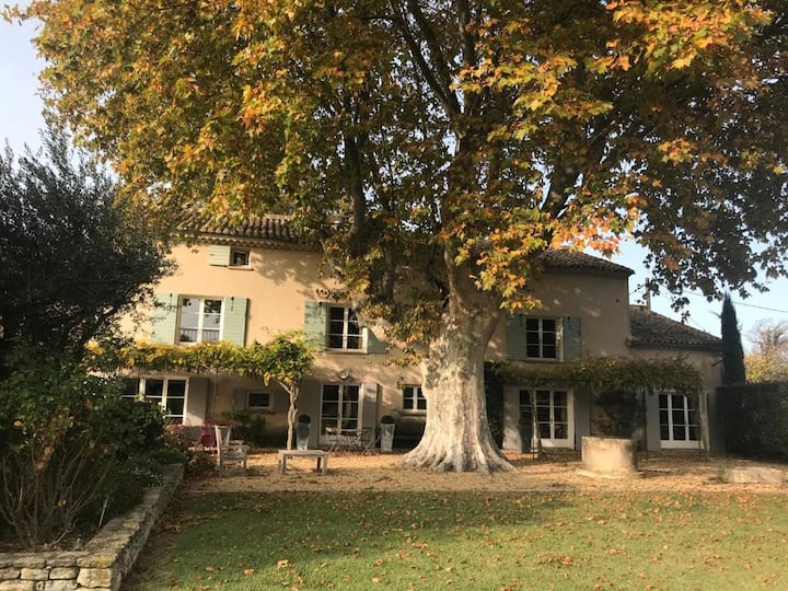 Belle Demeure Provençale, Piscine Et Grand Jardin - Le Thor