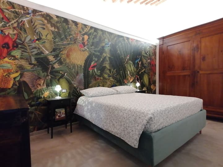 Casa Di Sissi - Livorno