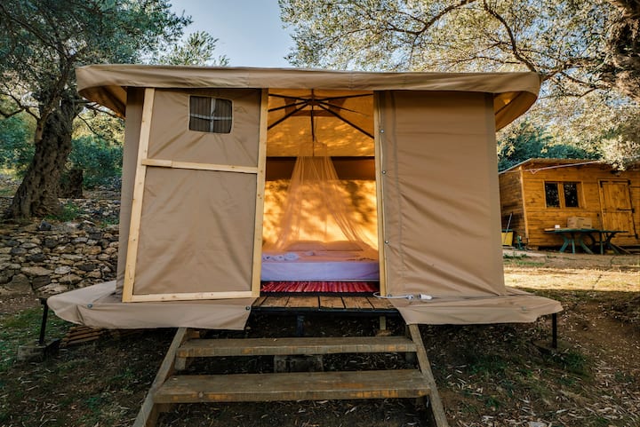 Glamping Tent-holiday Park Olive - Montenegro
