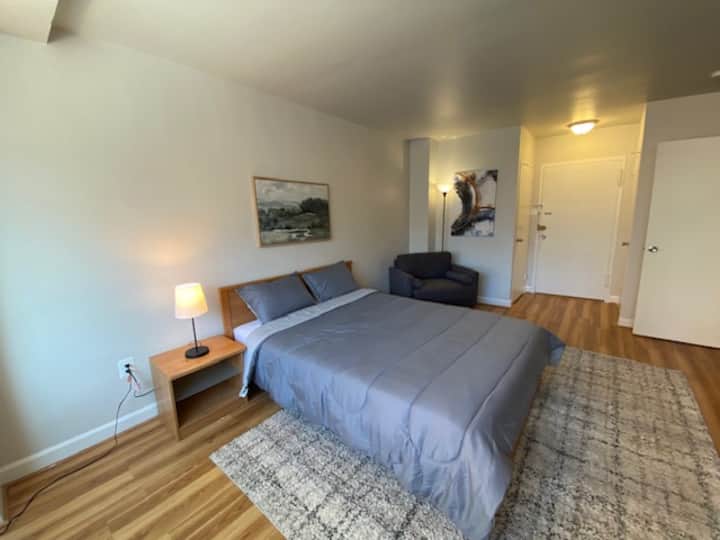 Cozy Studio In Rosslyn - Arlington, VA