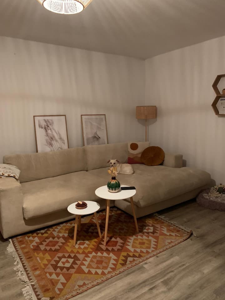 Zimmer In Großer Wohnung Mit Xxl Dachterasse - Cologne