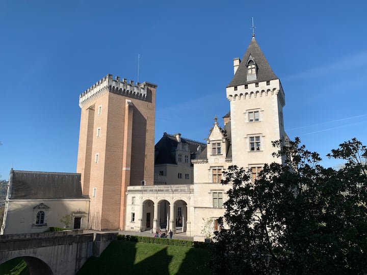 Wonderhost, Vue Magique Sur Le Château De Pau - Pau