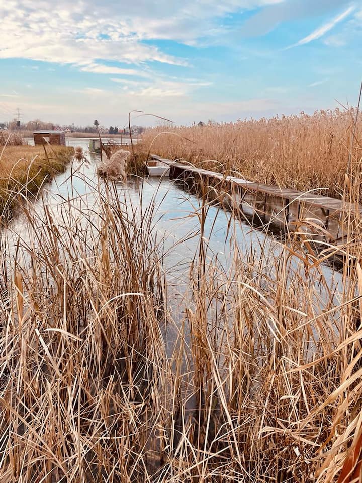 Haus Direkt An Der Kleinen Donau - Ráckeve