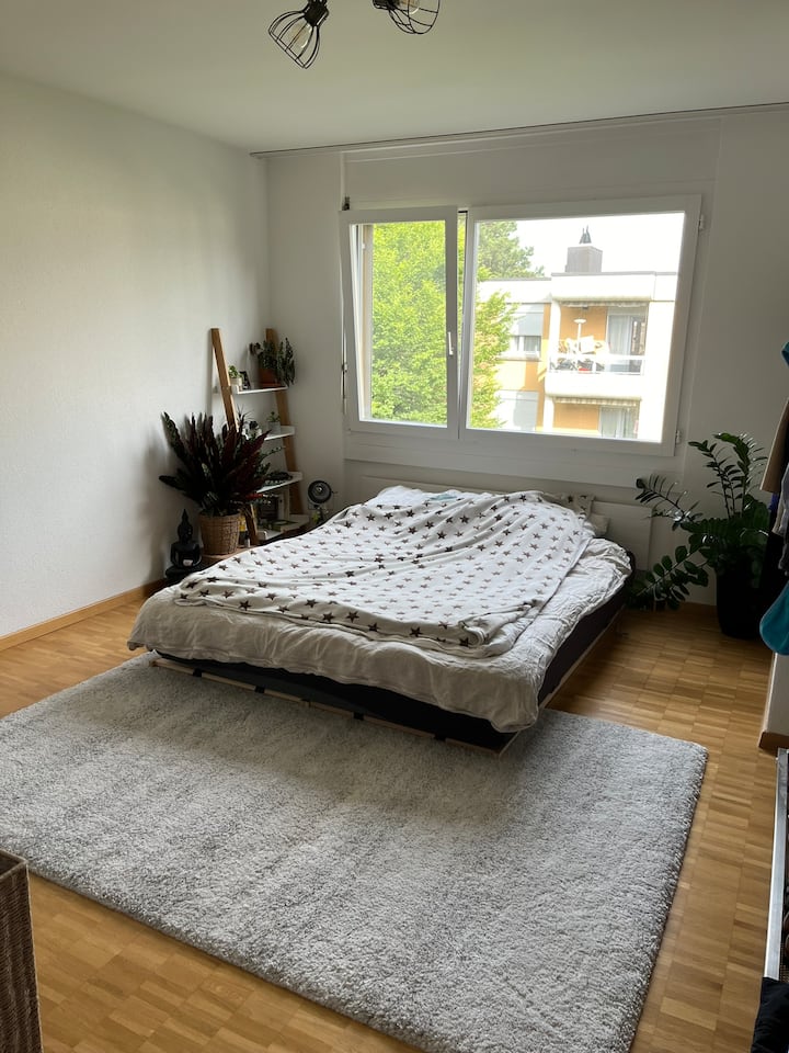 Hübsche, Ruhige Stadtwohnung - スイス チューリッヒ