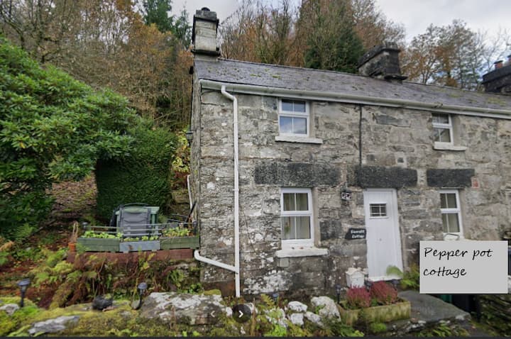 Pepperpot Pet Friendly Cottage - Betws-y-Coed