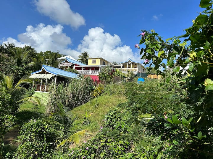 Gîte L'escale Tropicale Nymphéa - Guadeloupe