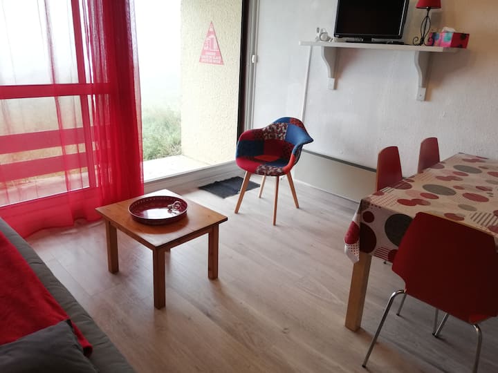 Appartement Pieds Des Pistes - Piau Engaly