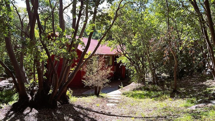 "Bosque Mágico" Oasis La Campana Hijuelas - Región Metropolitana de Santiago
