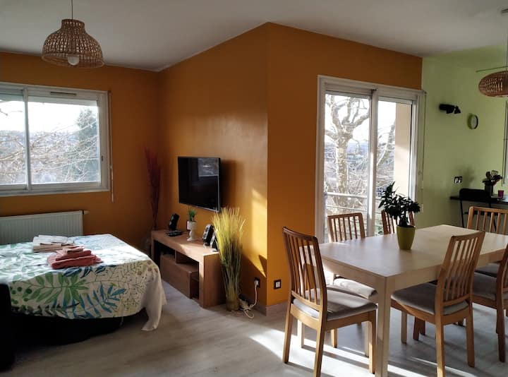 Studio Proche Chu Nord Et Stade Geoffroy Guichard - Villars