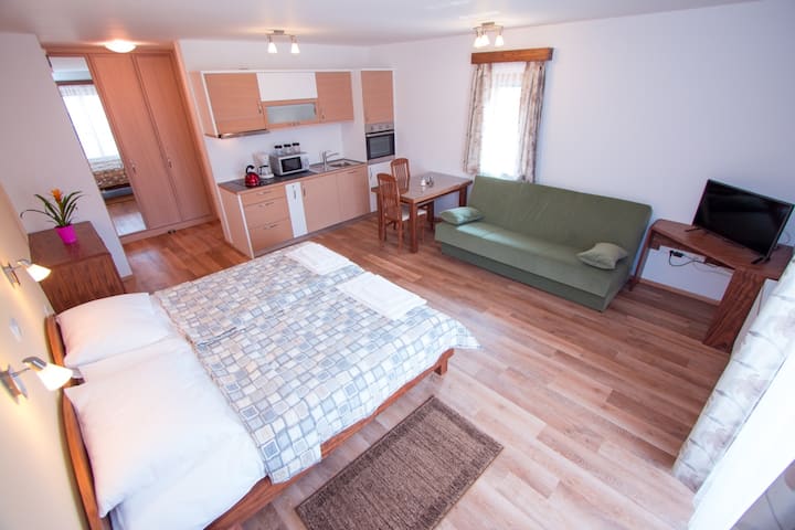 Tourist Farm Megušar - Studio 1 - Kranj