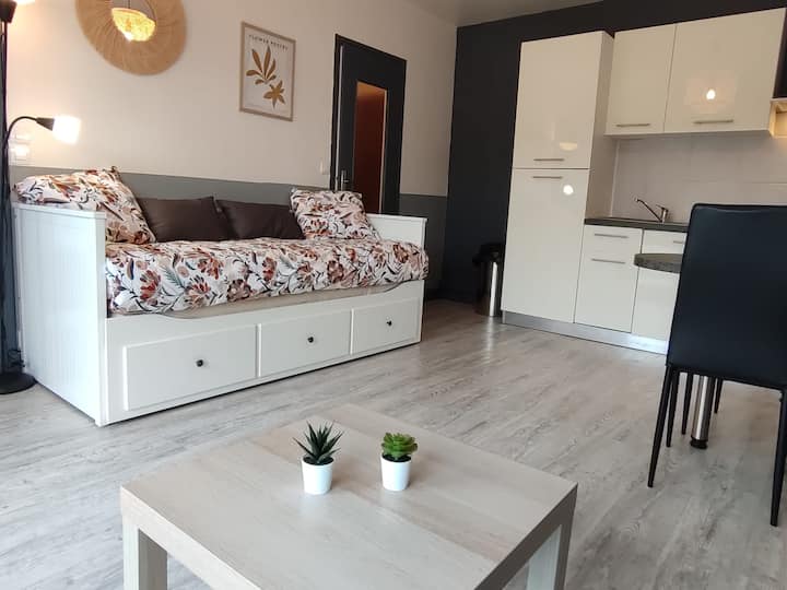 T1 Cosy Et Lumineux - Aurillac