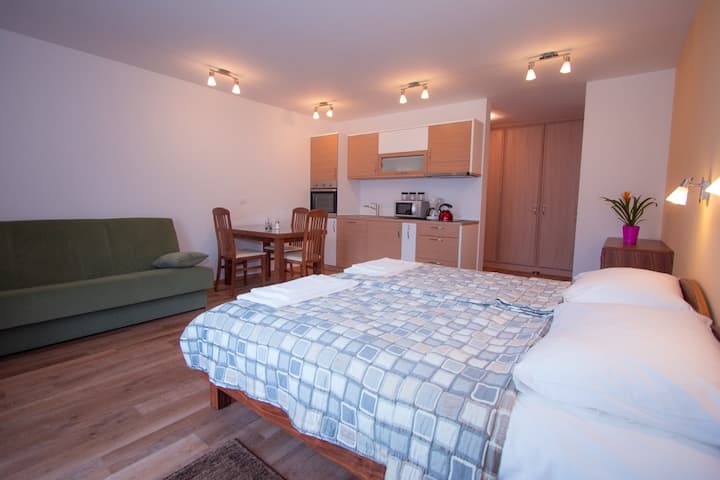 Tourist Farm Megušar - Studio 2 - Kranj