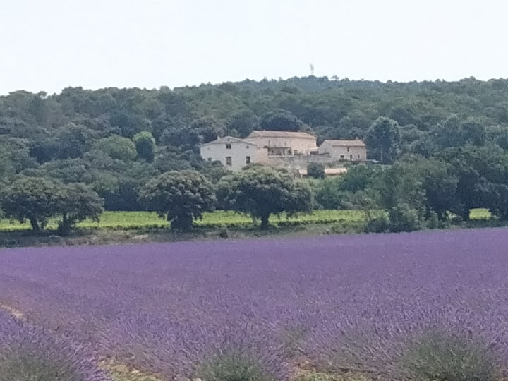 Domaine En Provence - Bollène