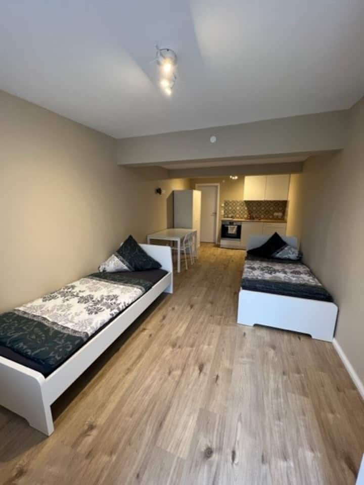 Kinston Apartment - Hanau