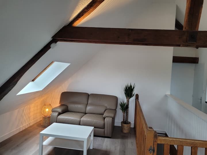 Appartement Avec Vue Sur Loire - Blois