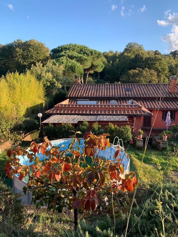 Indipendent Apartment In Cottage - Trevignano Romano