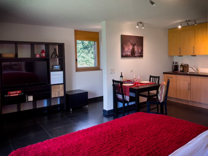 Haus Alpenglück -Studio 1 - Grächen