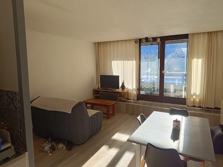 Studio 35m2 Au Pied Des Pistes - Corrençon-en-Vercors