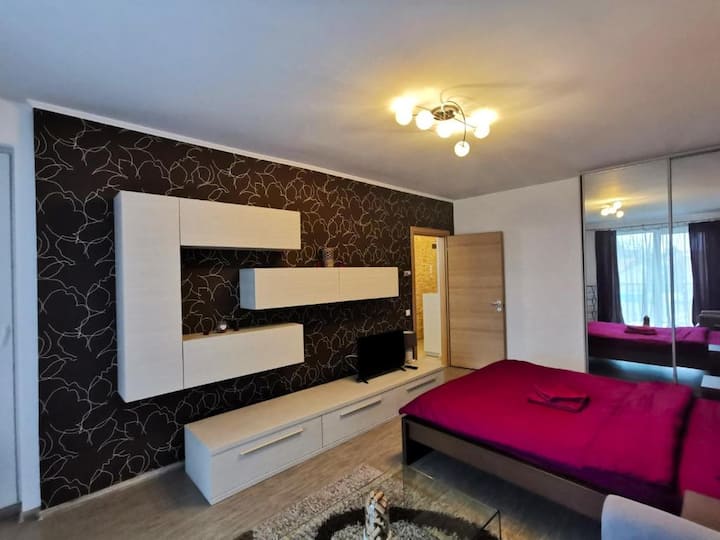 Contemporary Central Apartment - Cluj-Napoca
