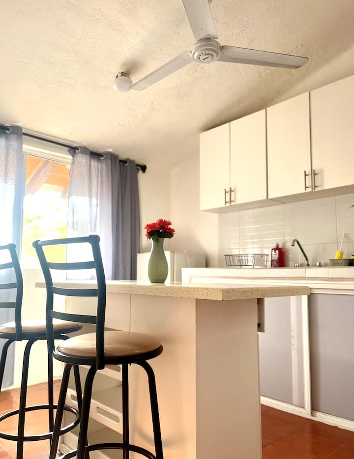 Estudio Marlet - Puerto Vallarta