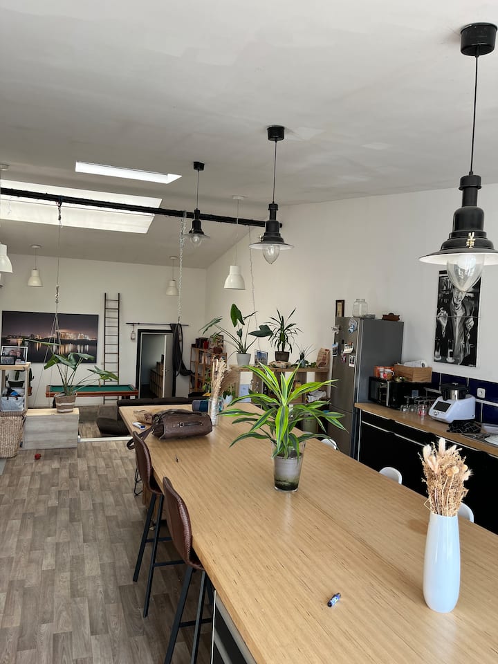 Loft Spacieux à 10 Min De Lille - Lille