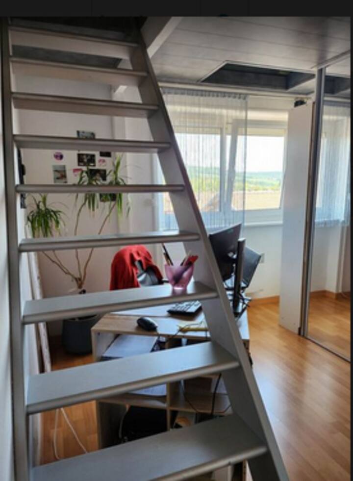Chambre Et Espace De Travail. - Pompey