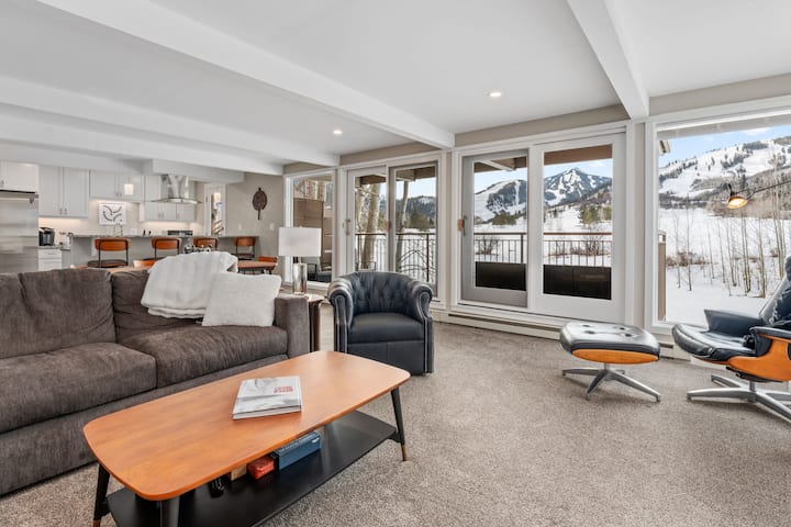 Aspen Colorado Magical Condo - Aspen, CO