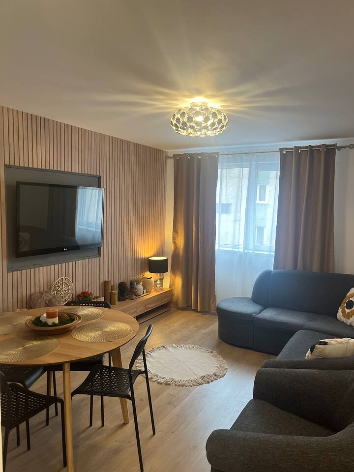 Apartament Roman Residence - Borșa