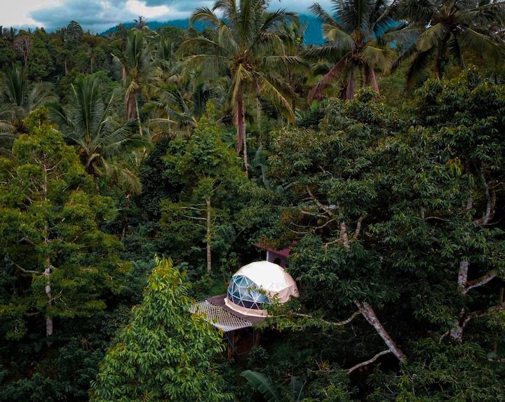 Jungle Geo Dome - Indonesia