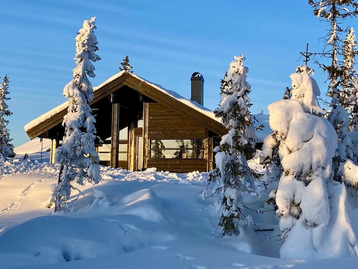 Sjarmerende ÅLhytte, 960 M.o.h - Norway