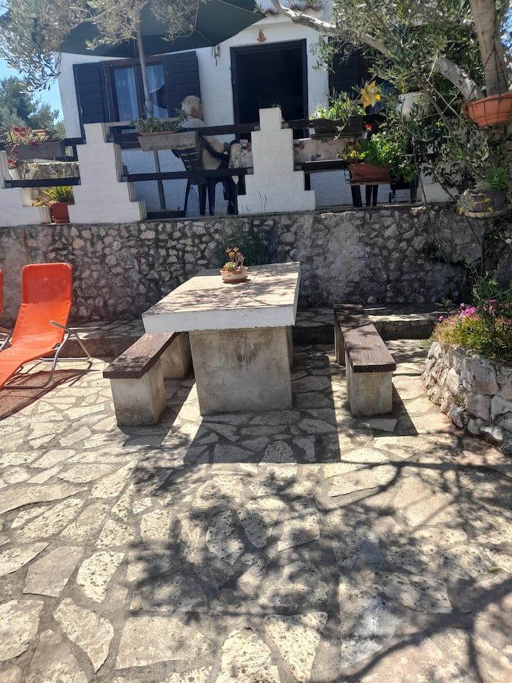 Kuća Za Odmor "Petra" - Dugi Otok