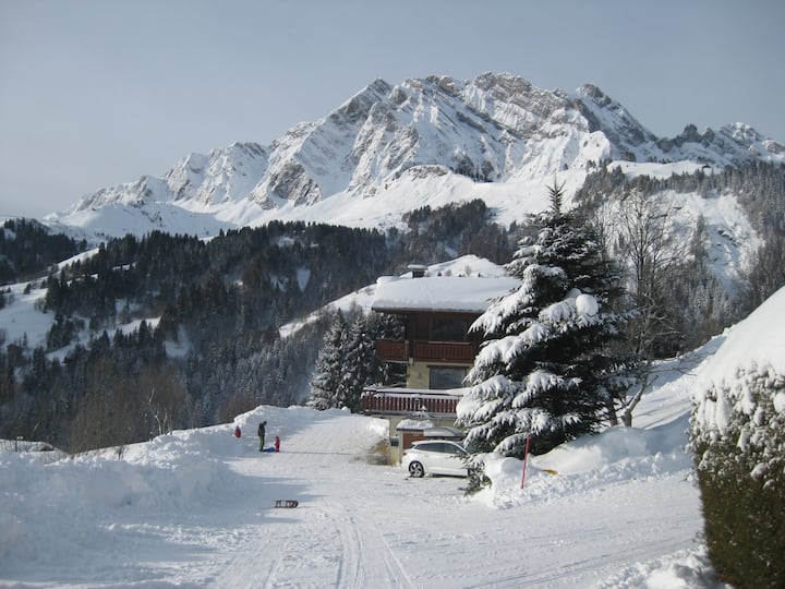 Appartement En Chalet - Aravis - La Giettaz