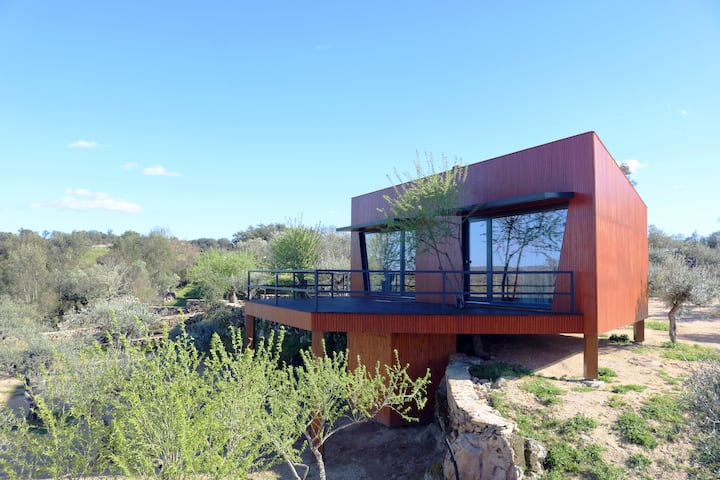 Favo Da Rainha - Pinhel