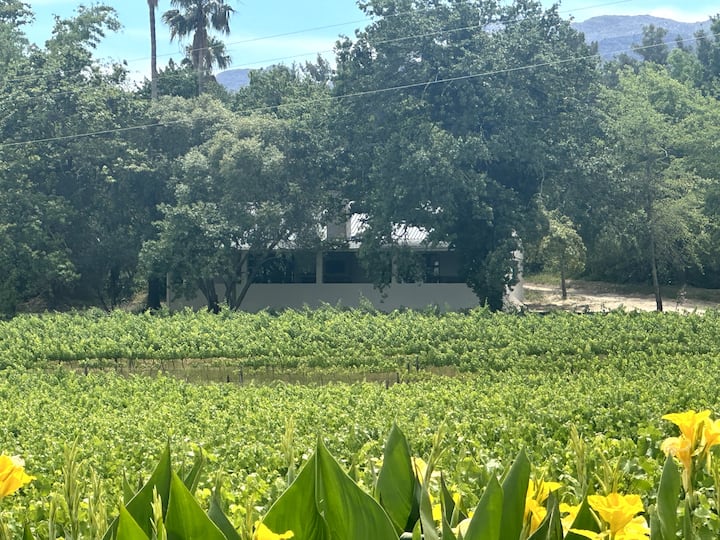 Florie Se Huis - Paarl