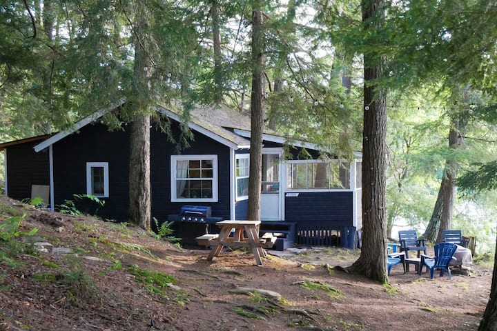 Pine Cottage - Huntsville
