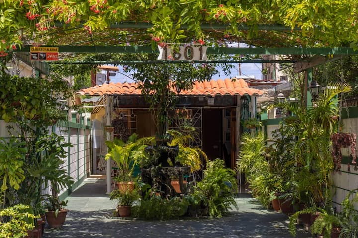 Hostal Ojeda Varadero (Room 1) - Varadero