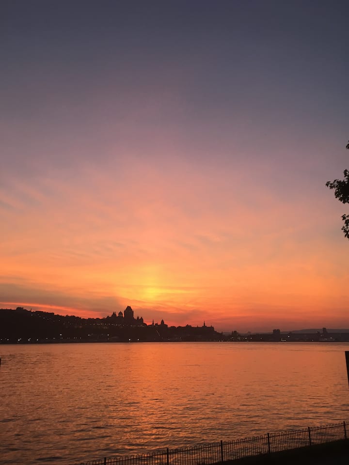 L'appart Du St-laurent #1 - Quebec