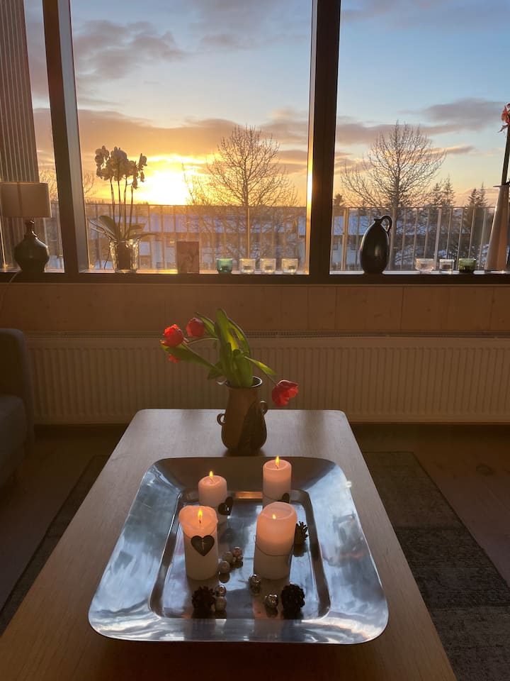 Beautiful Loft Style Apartment - Reykjavík