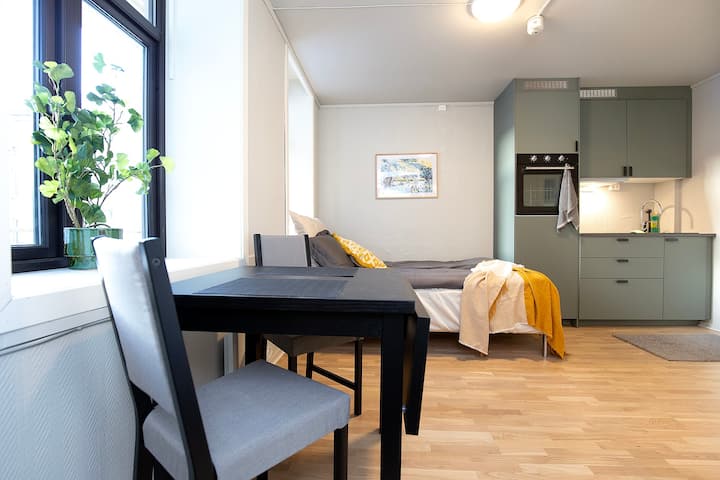 Sentrumsnær Studioleilighet! - Trondheim