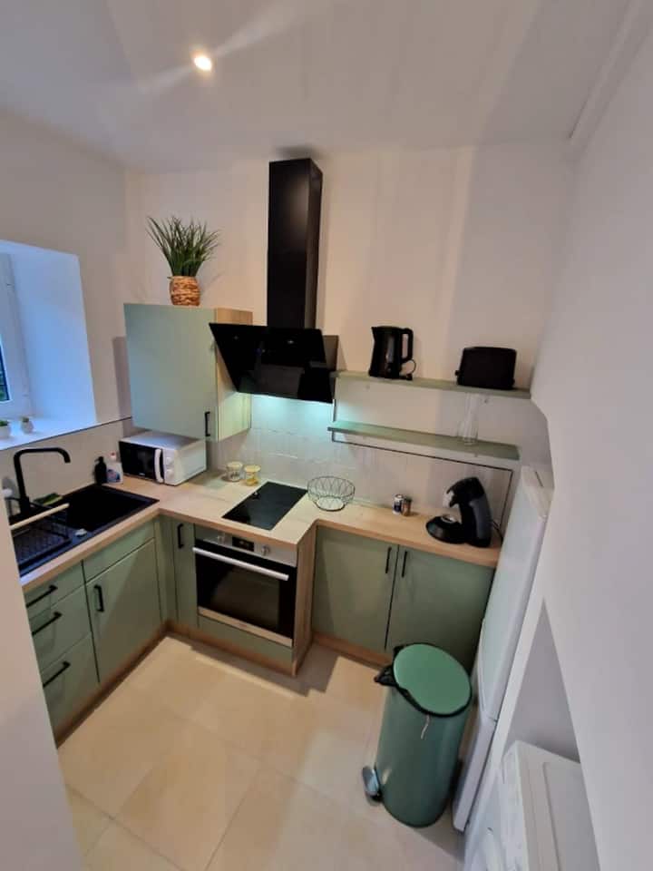 Mignon Appartement T3 - Pau