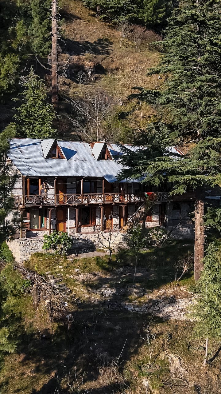 Castaway - The Offbeat Cabin In Vashisht, Manali - 마날리