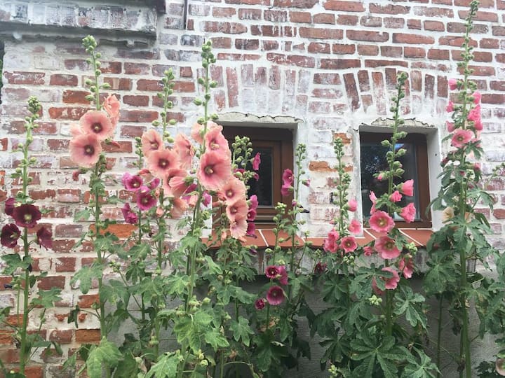 Haus Am Glockenturm - Wiek
