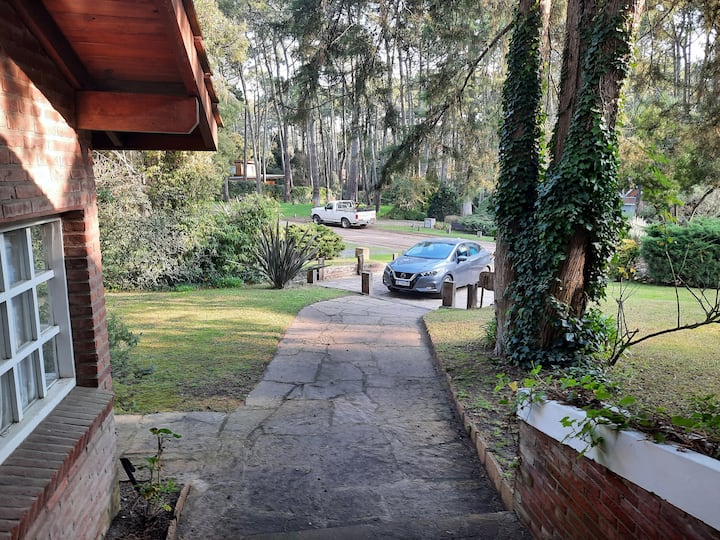 Une Forêt Près De La Plage - Pinamar