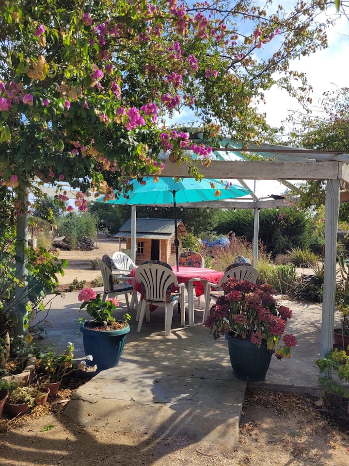 El Refugio Algarrobo
(Para Familias) - El Tabo